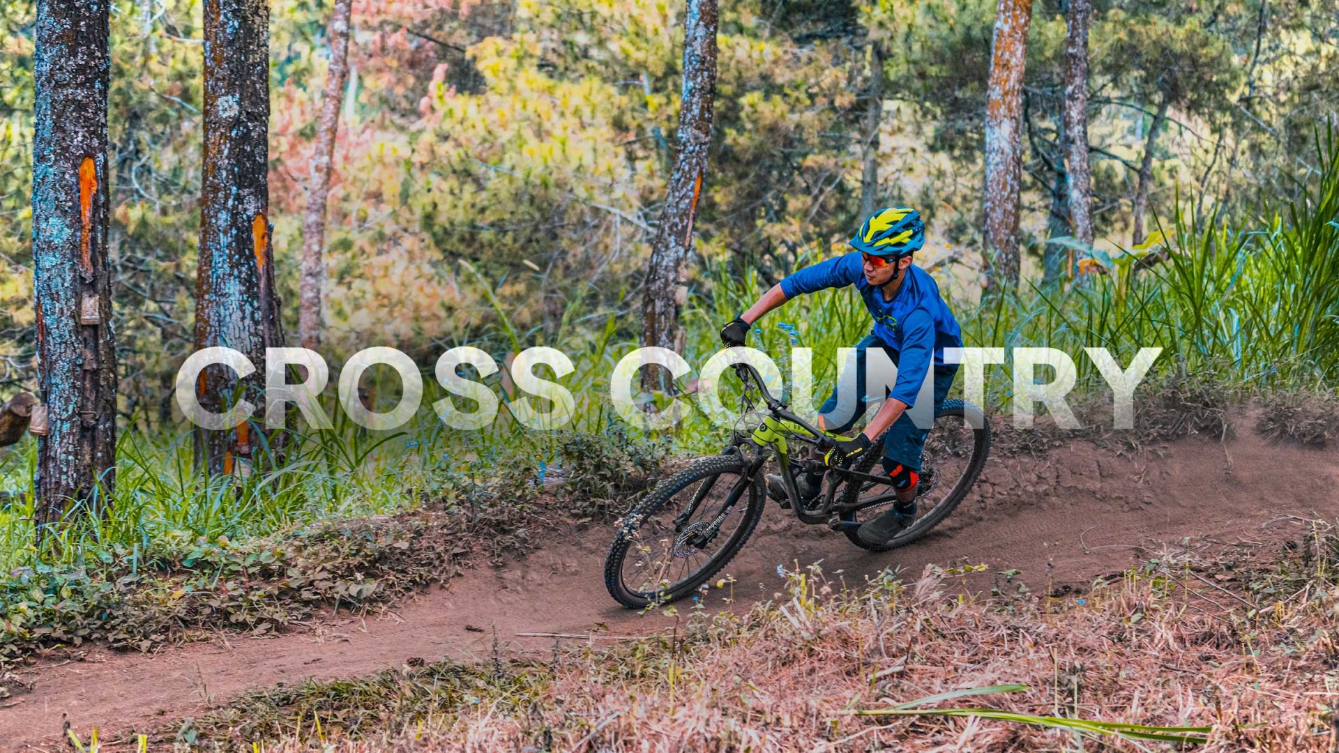 CROSS COUNTRY | Polygon Bikes