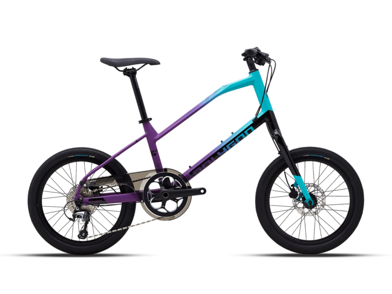 ZETA Polygon Bikes