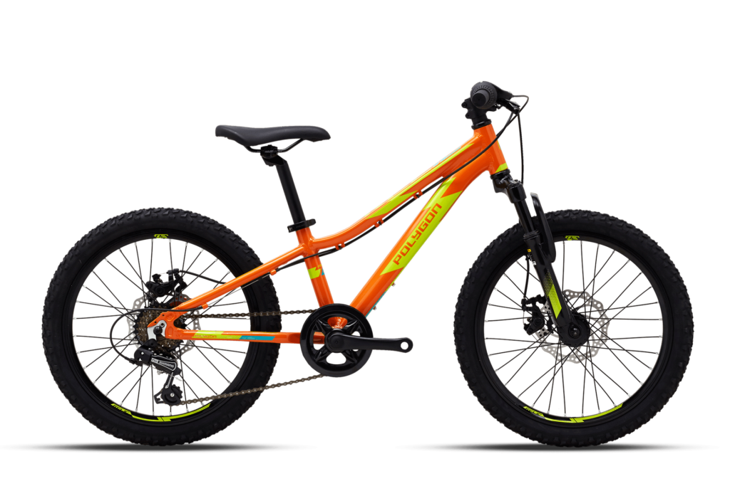 2024 SISKIU D24 Kids Mountain Bike | Polygon Bikes