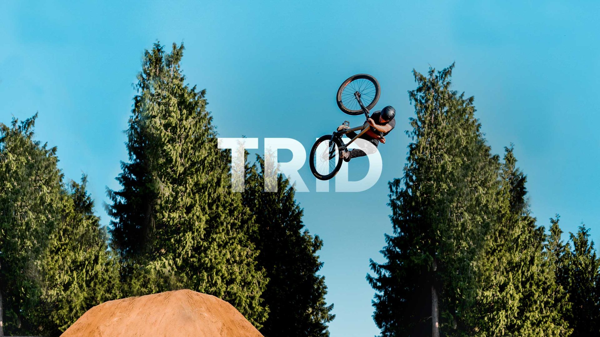 TRID Series | Polygon Bikes
