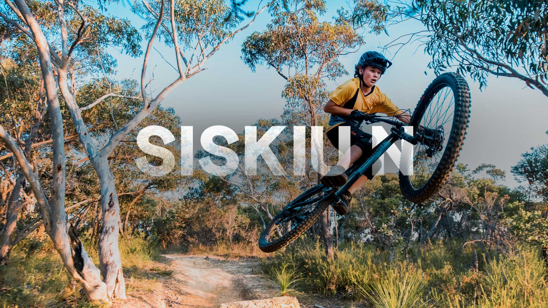 SISKIU N | Polygon Indonesia