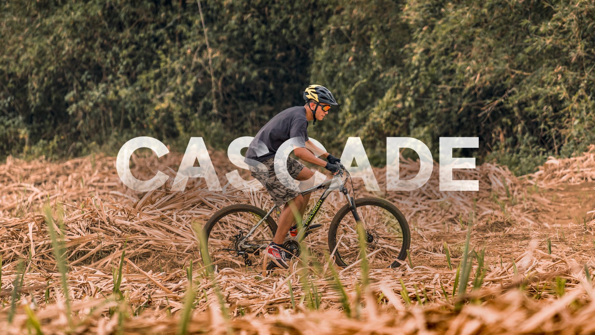 CASCADE Series | Polygon Bikes