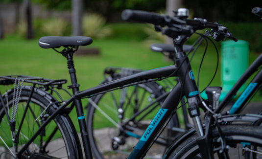 SIERRA | Polygon Bikes