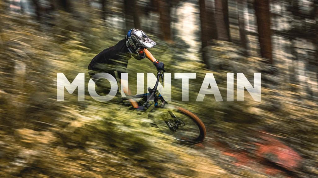 MTB | Polygon Bikes