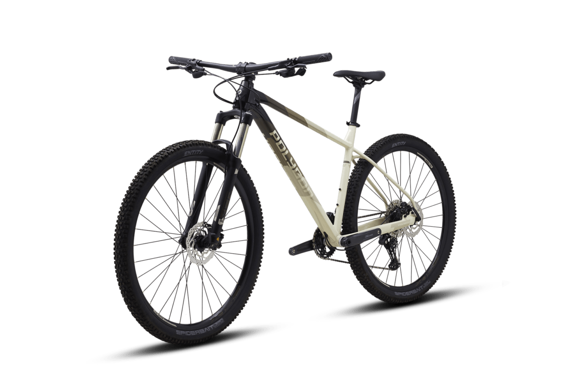 2020 XTRADA 6 XC MTB | Polygon Bikes