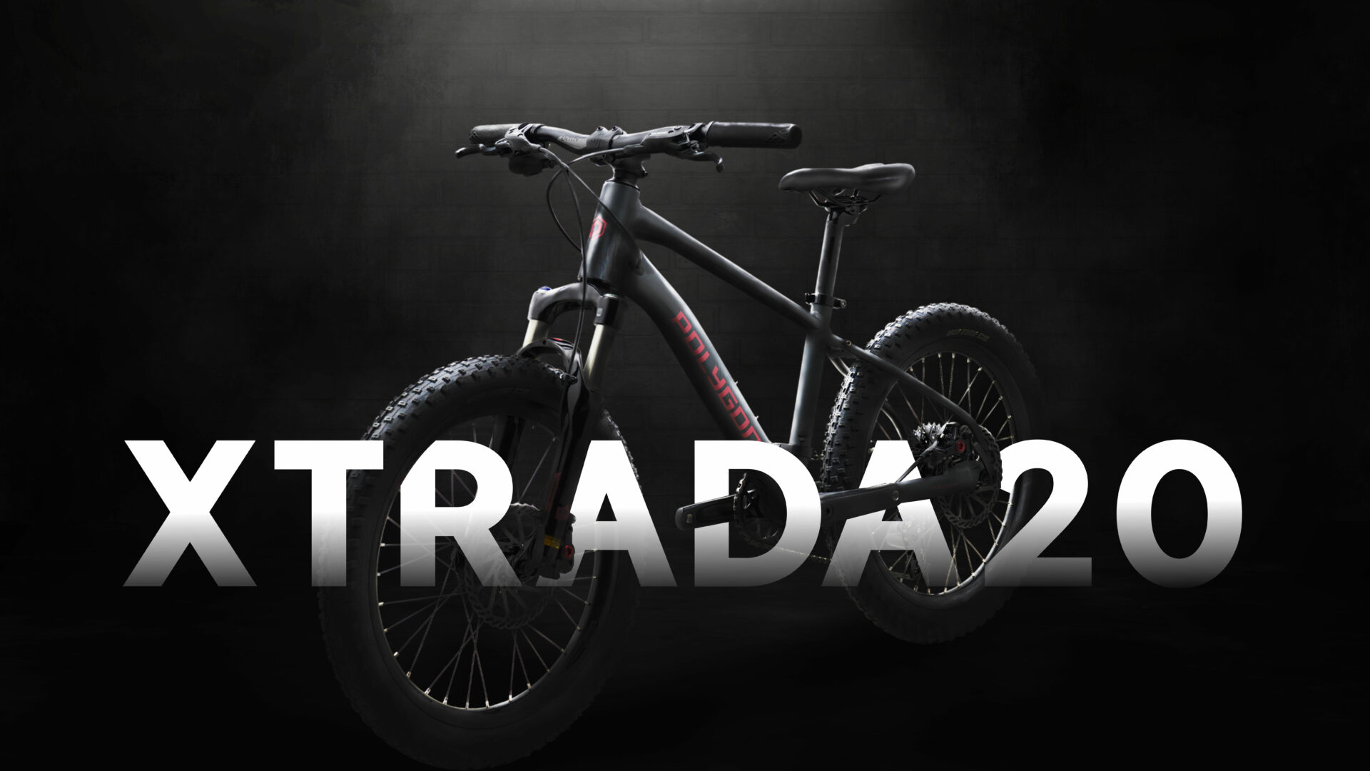 Xtrada 20 Series | Polygon Bikes ID
