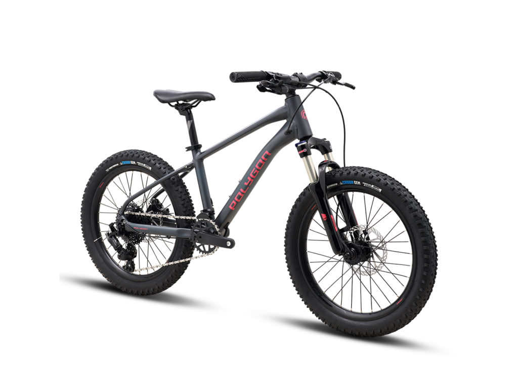 Xtrada 20 Series | Polygon Bikes US