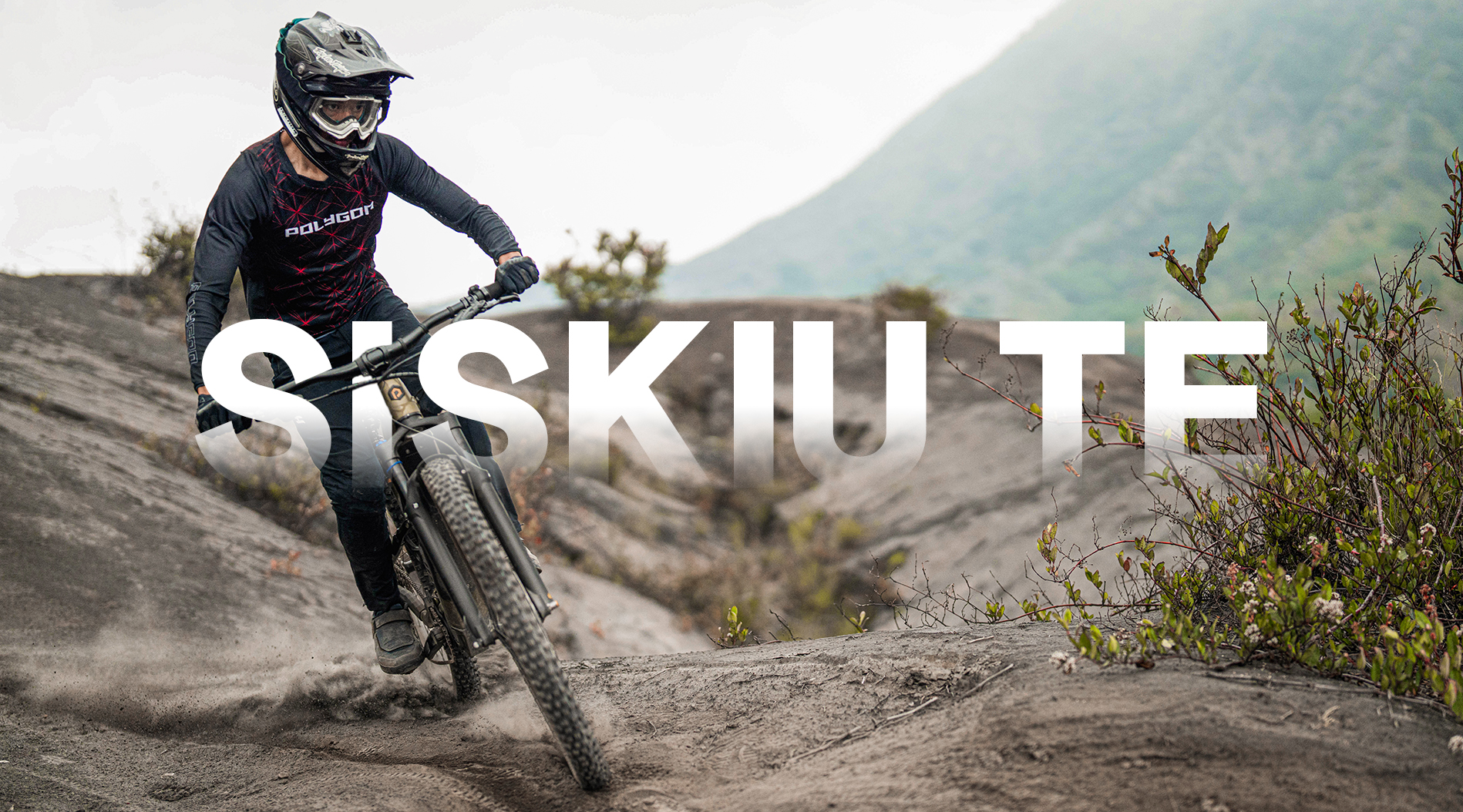 SISKIU TE Series | Polygon Bikes ID