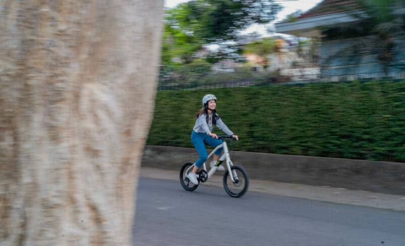 GILI VELO Electric Mini Velo 2023 | Polygon Bikes ID