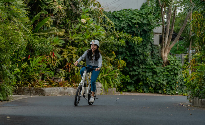 GILI VELO Electric Mini Velo 2023 | Polygon Bikes ID