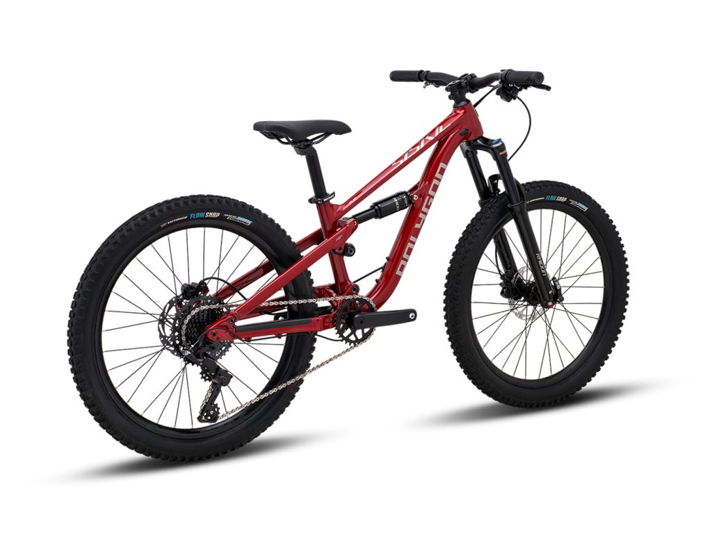 Siskiu D24 Series | Polygon Bikes ID