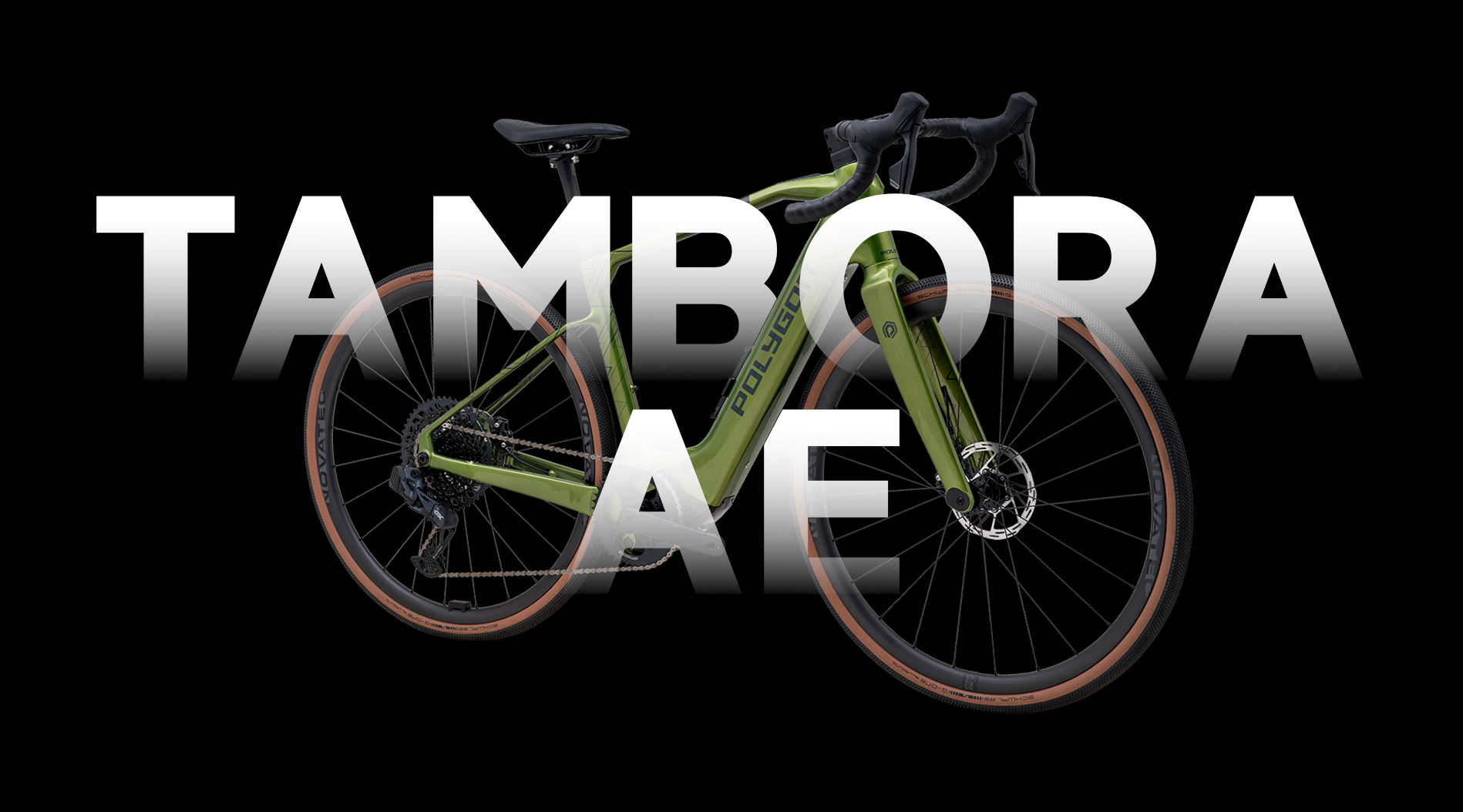 Tambora AE Series | Polygon Bikes ID