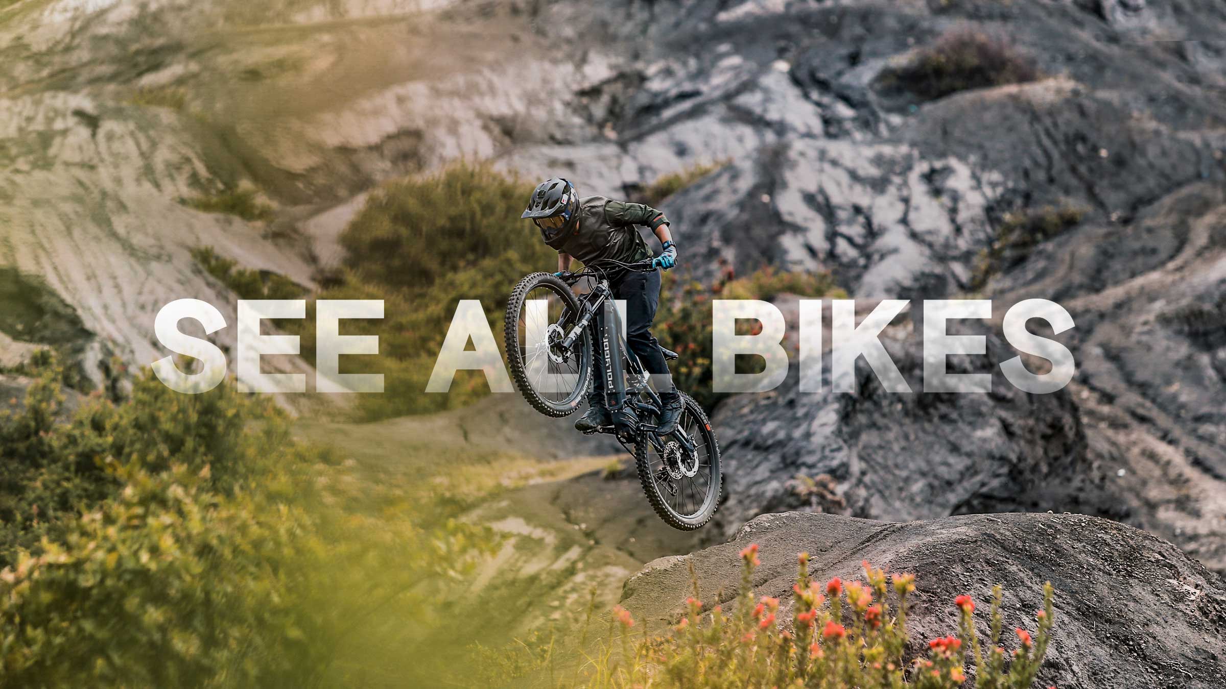 Ambassador | Polygon Bikes CA