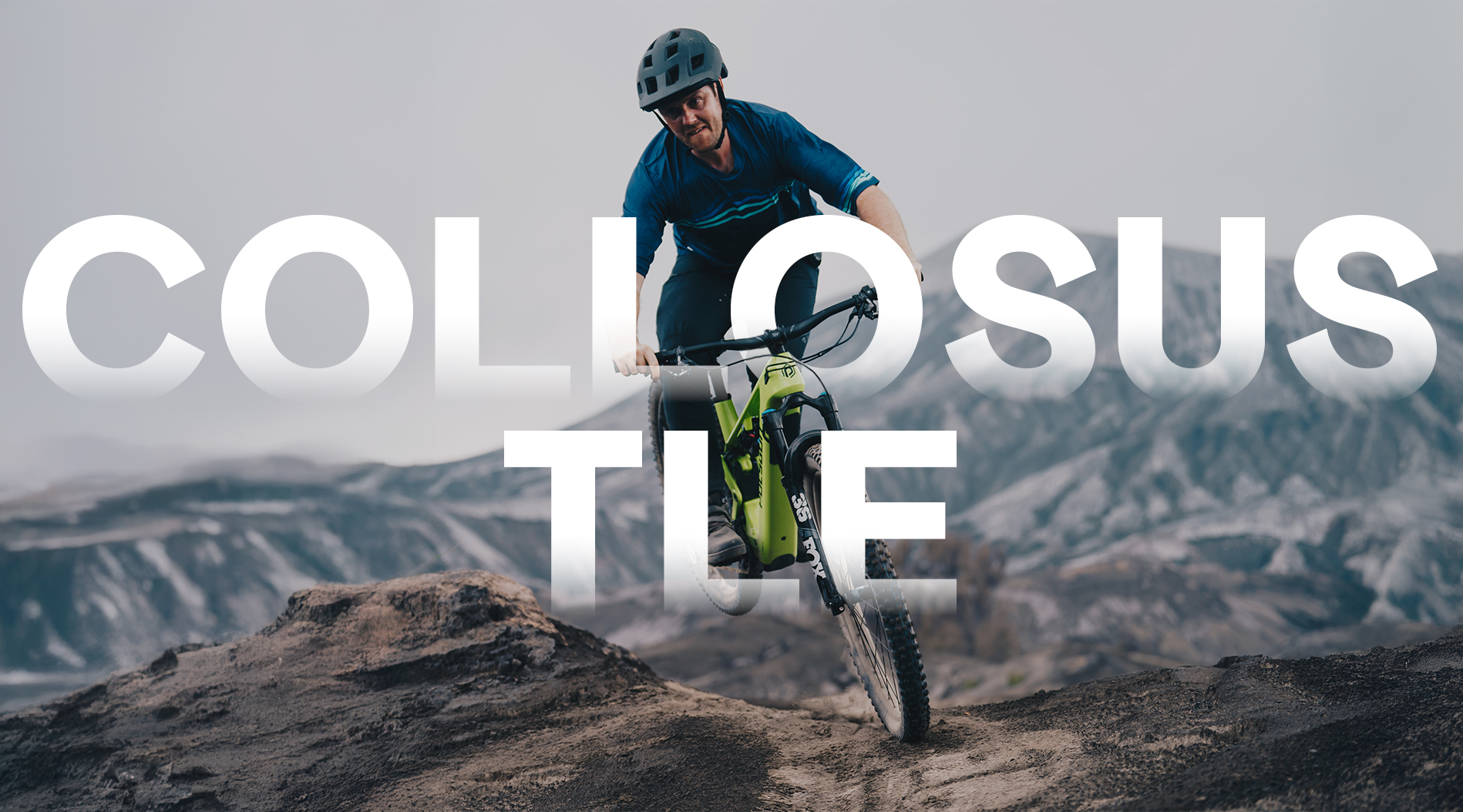 Collosus TLE Series | Polygon Bikes ID