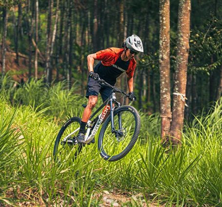 Official Site | Polygon Bikes