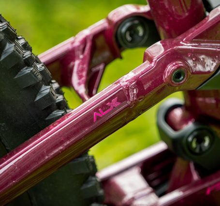 Official Site | Polygon Bikes CA