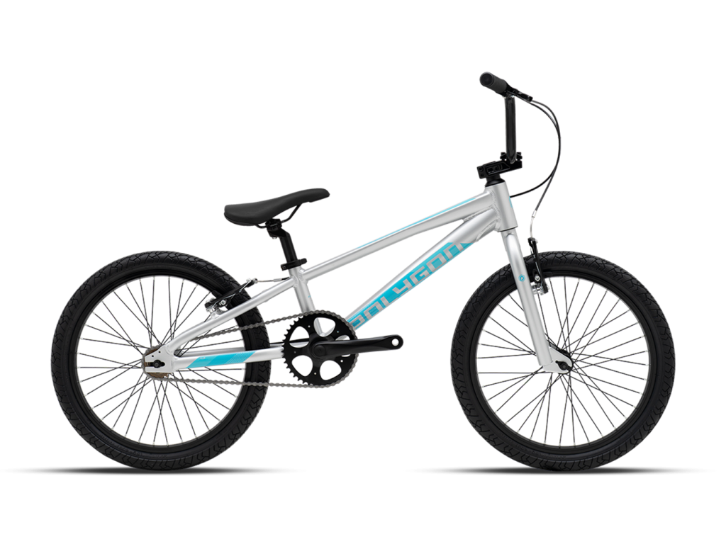 2022 ROGUE BMX | Polygon Bikes