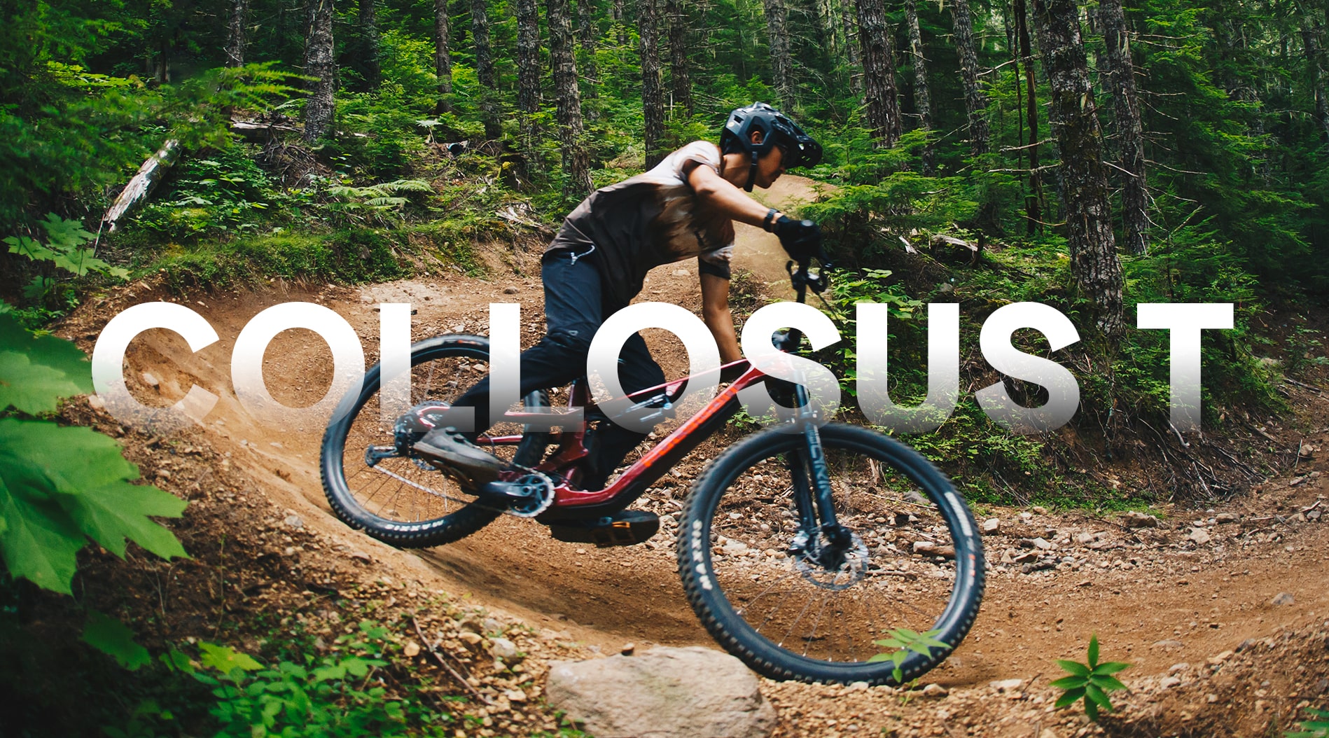 COLLOSUS T | Polygon Bikes