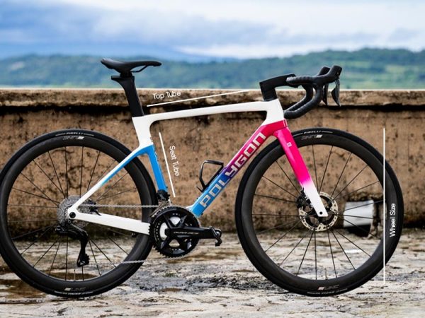 Road Bike Sizing Guide | Polygon Bikes