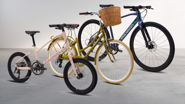 City Bike Setup for Commuting | Polygon Bikes US